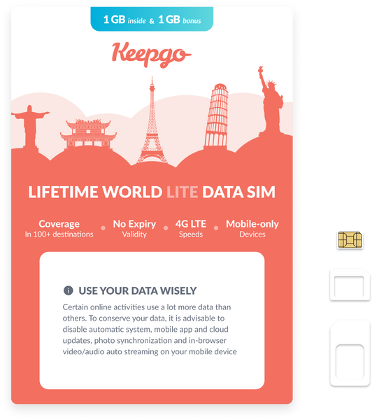 Lifetime World Lite SIM Card with No-Expiry Data