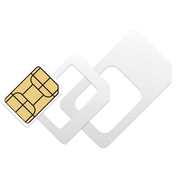 Lifetime World Lite SIM Card with No-Expiry Data